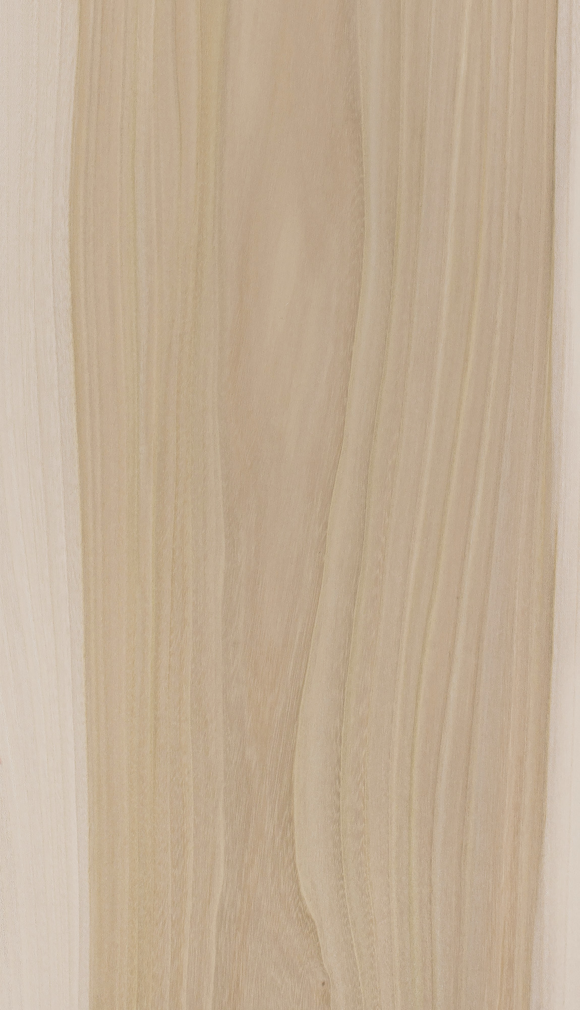 Our latest obsessions on luxury wood