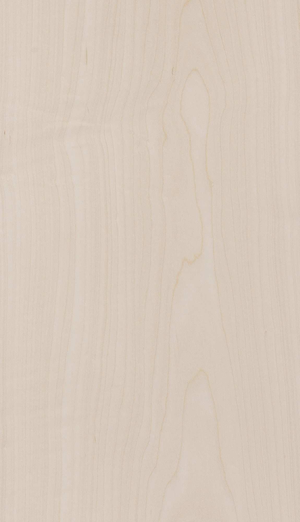 Our latest obsessions on luxury wood